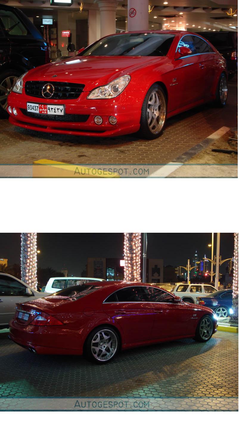 Mercedes-Benz CLS 55 AMG MKB | 보배드림 자동차사진/동영상