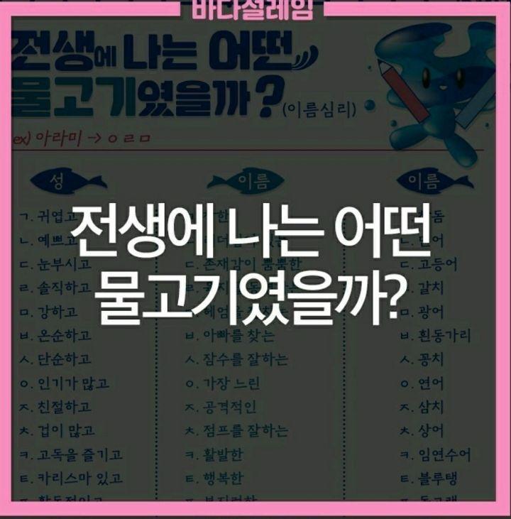 전생에 나는 어떤 물고기였을까...? jpg | 보배드림 유머게시판